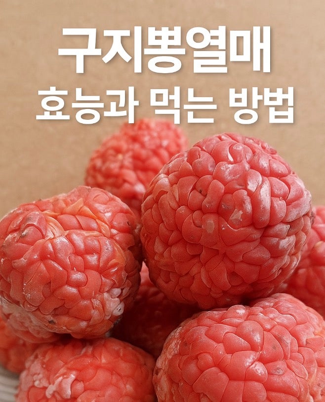 구지뽕열매 효능 먹는방법 ㅋ..콜록 감기 조심 조심 : 네이버 블로그