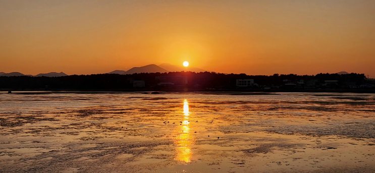 제주 하도 철새 도래지 일몰 명소｜황금빛 노을과 철새들의 감동적인 군무 : 네이버 블로그