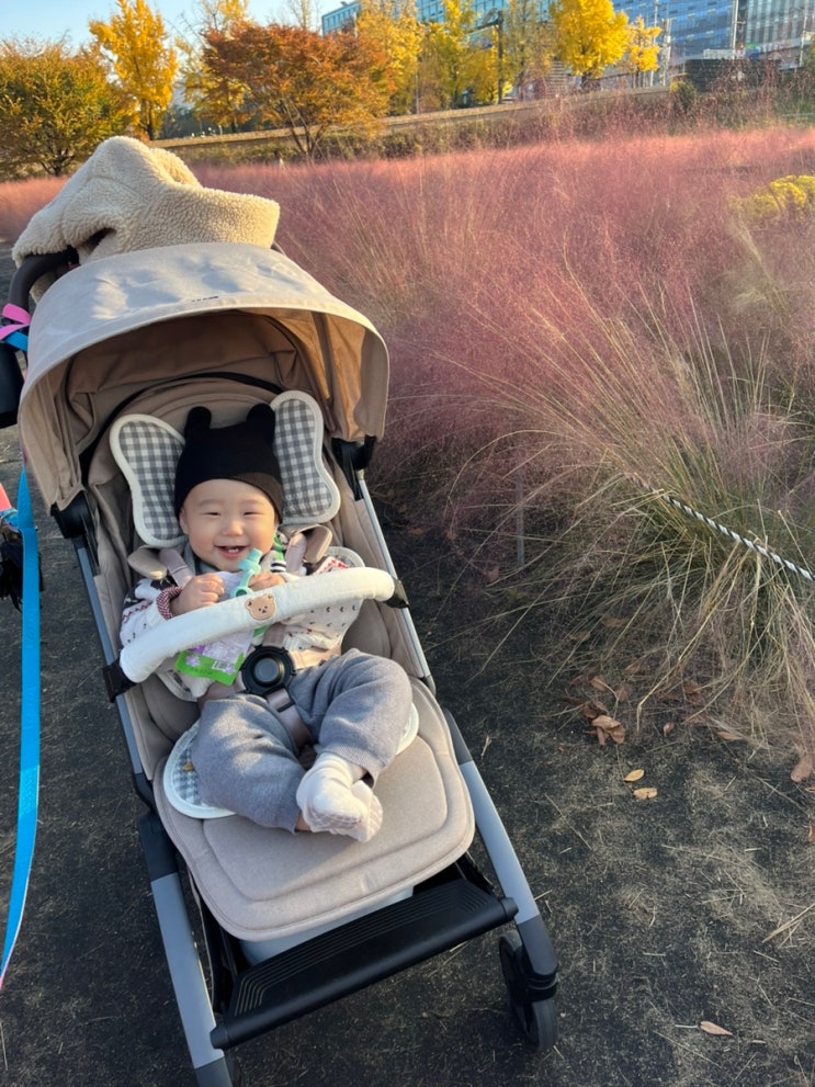 육아휴직 끝자락에서… 복직을 앞둔 현실 생각들 : 네이버 블로그