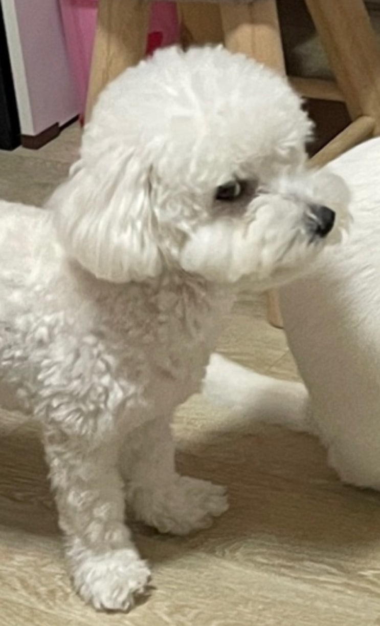 선후기 숙소(호캉스)체험단 사기 썰 푼다. : 네이버 블로그