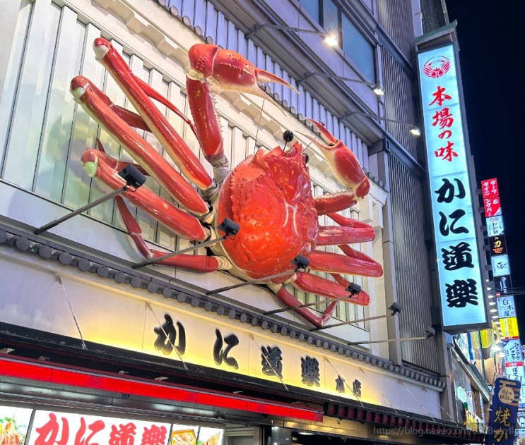 도쿄 도톤보리 대게코스 | 카니도라쿠 대게 코스 예약없이 즐긴 후기 : 네이버 블로그