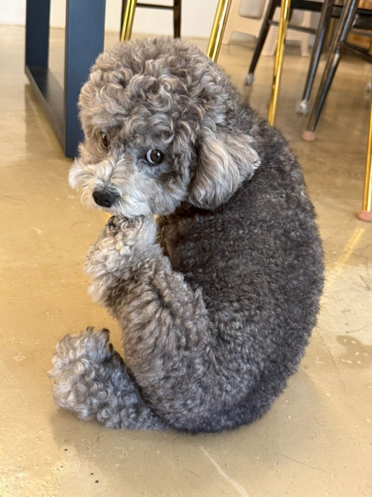 11월🎶 : 네이버 블로그