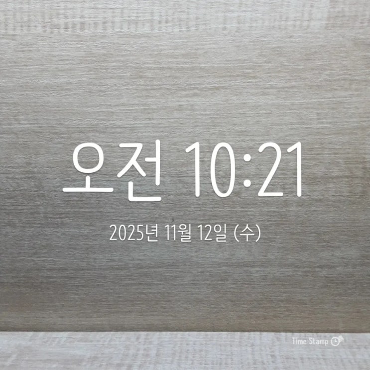 2025.11.12~13 공부 일기 : 네이버 블로그