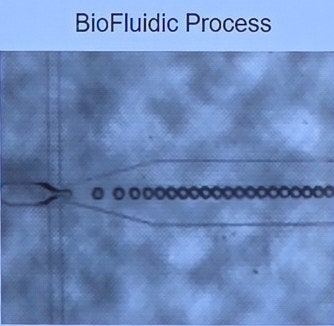 Elektrofi 특허로 예상해보는 IVL-BioFluidic™ : 네이버 블로그