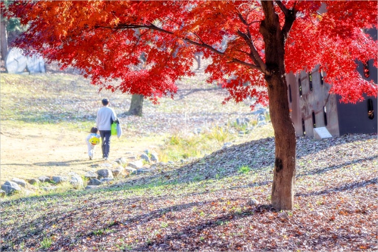 경안천 주변 명소 - 곤지암도자공원의 늦가을 풍경 : 네이버 블로그