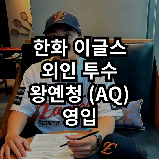 [한화 이글스] NPB 2군 풀타임 선발 투수 영입 : 한화의 아시아쿼터 왕옌청 살펴보기 : 네이버 블로그