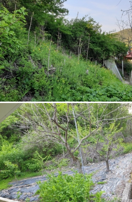 봉화군 시골주택3동 조용한 산골마을에 농가형민박운영가능한 시골주택과 토지 320평 대지 매매 13,500만 010 8676 ...