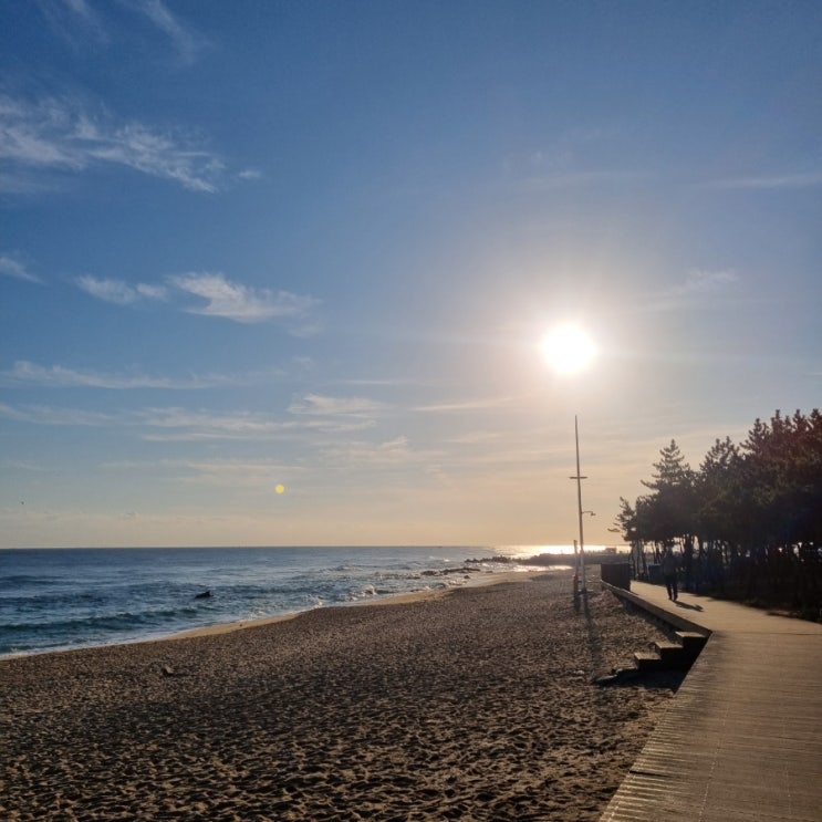 [강원도 /강릉시] 산마루황태촌- 강릉에서 해장은 여기서~~ : 네이버 블로그