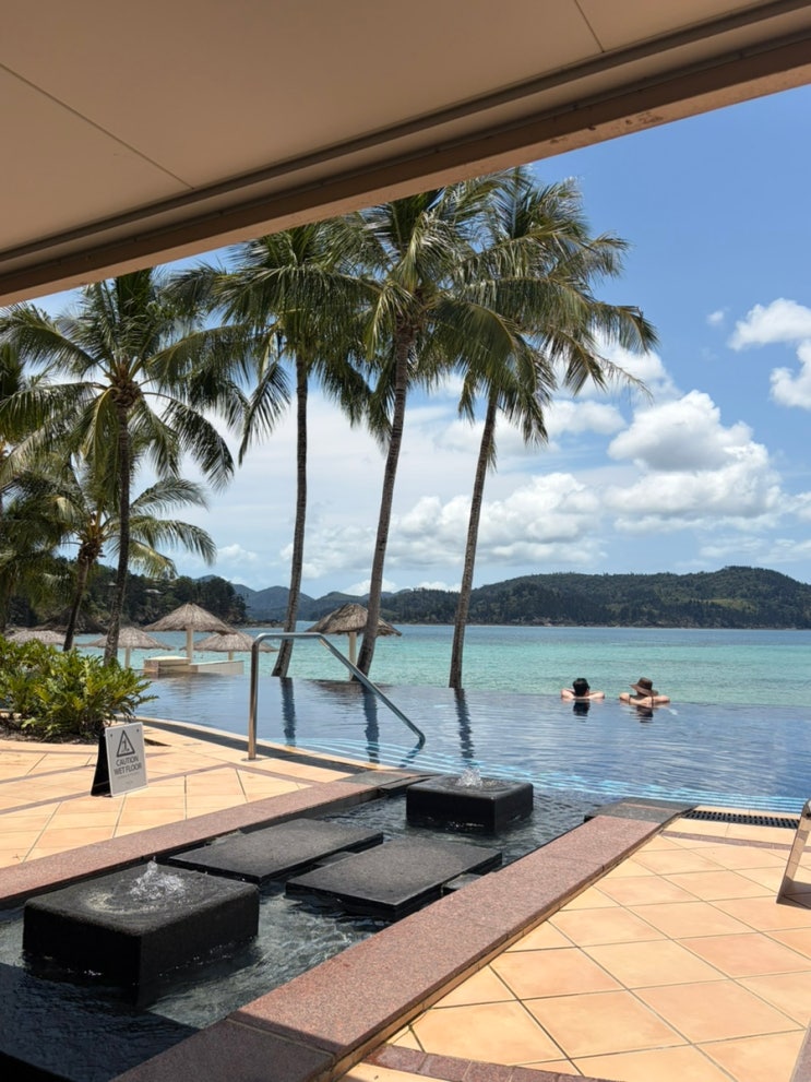 (11/14~23) 시드니/해밀턴아일랜드 신혼여행 2일차 : 네이버 블로그