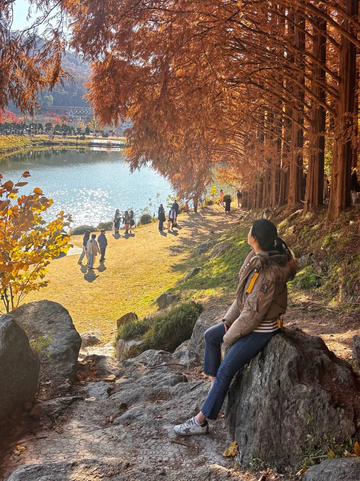 11.14 용인외대 가을만끽하기 (89라이더스 청모) : 네이버 블로그