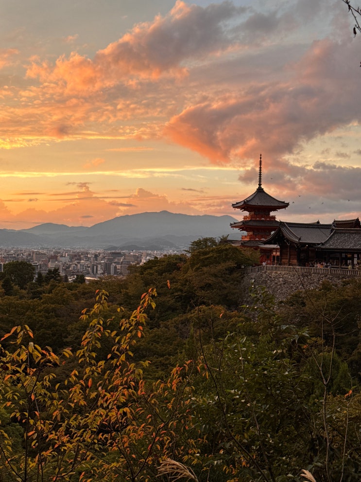 오사카 여행 3박 4일 일정 총정리 유니버셜스튜디오 포함 일본 자유여행 : 네이버 블로그