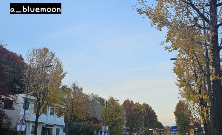 11월의 관극들+일상 조금... : 네이버 블로그