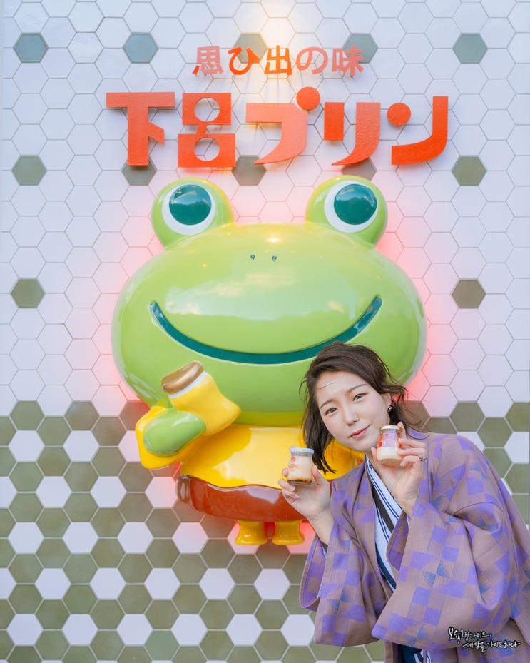 겨울 나고야 여행 근교 시라카와고,다카야마 버스 투어 : 네이버 블로그