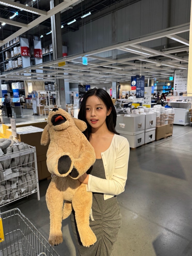 차분하고 침착한 모습에 속지 마십시오 : 네이버 블로그