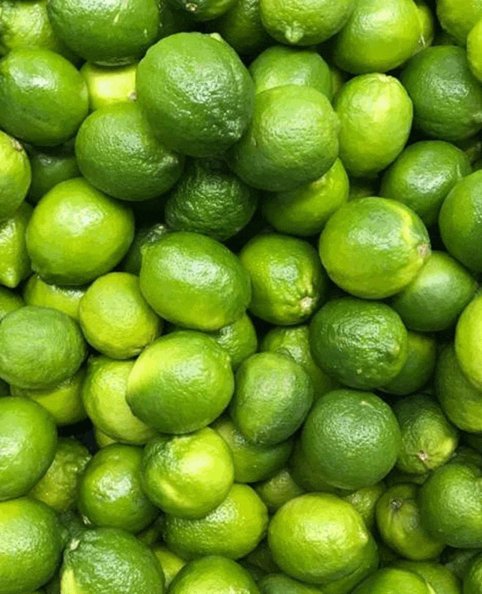 류마티스열 때문에 갑작스러운 고열과 관절통을 경험했다면 : 네이버 블로그