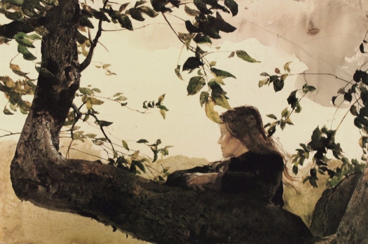 (미) 앤드류 와이어스 / Andrew Wyeth (1917~2009) : 네이버 블로그