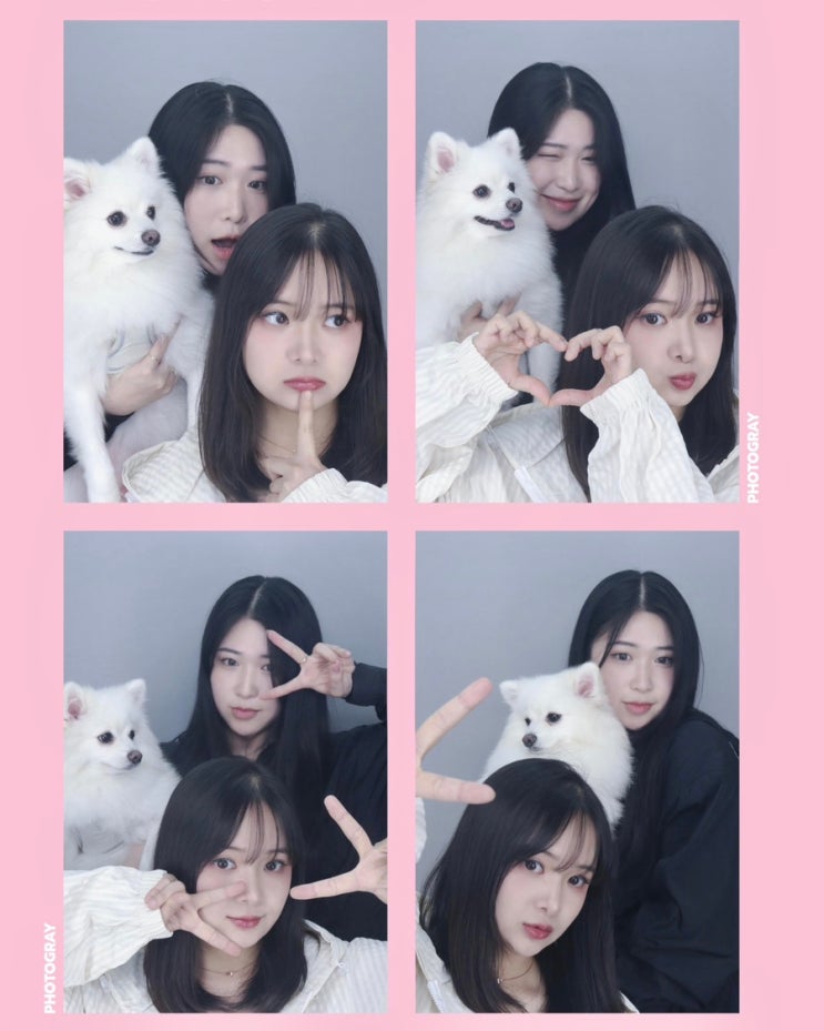 이직도 했구요 행복하게 잘 있읍니다 : 네이버 블로그