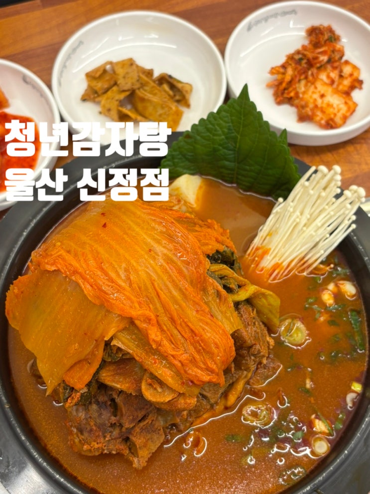 울산신정동맛집 양많고 가격 저렴한 외식메뉴 추천 청년감자탕 : 네이버 블로그