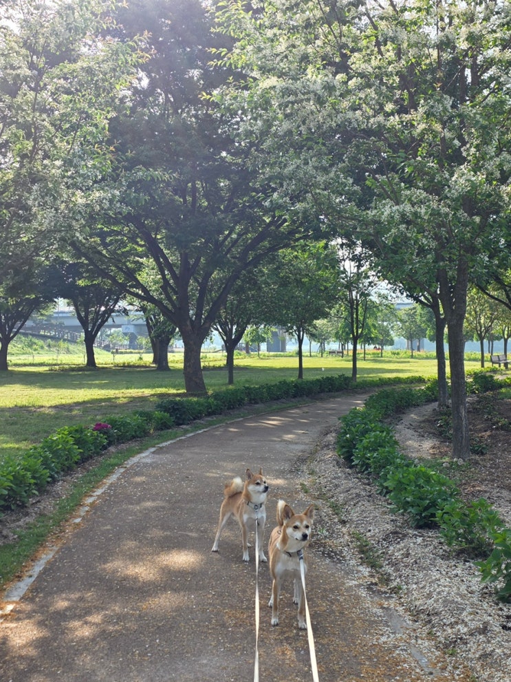 20대 마지막 : 네이버 블로그