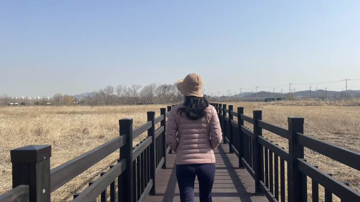 경기도 화성 비봉습지공원 산책 코스 후기 : 네이버 블로그