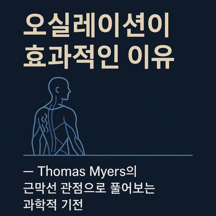 오실레이션(Oscillation)테크닉이 효과적인 이유 ㅡ Thomas Myers의 근막선(Anatomy Trains) 관점으로 ...