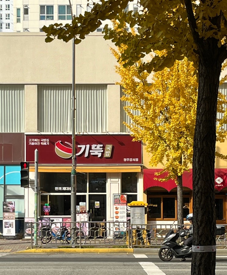 청주 ️ 기울어진 뚝배기, 기뚝 국밥 / 청주 강서점 내돈내산 후기 : 네이버 블로그