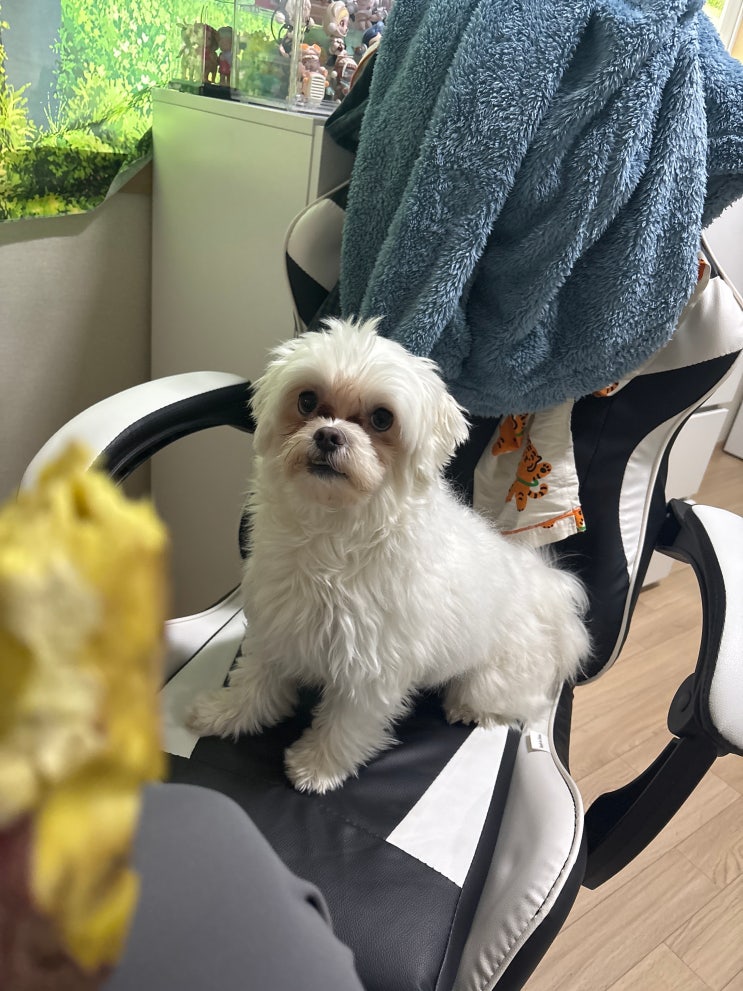 11월 10~16일 일기 : 네이버 블로그