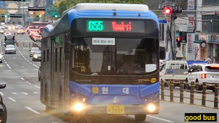 대구655번 3839호 : 네이버 블로그