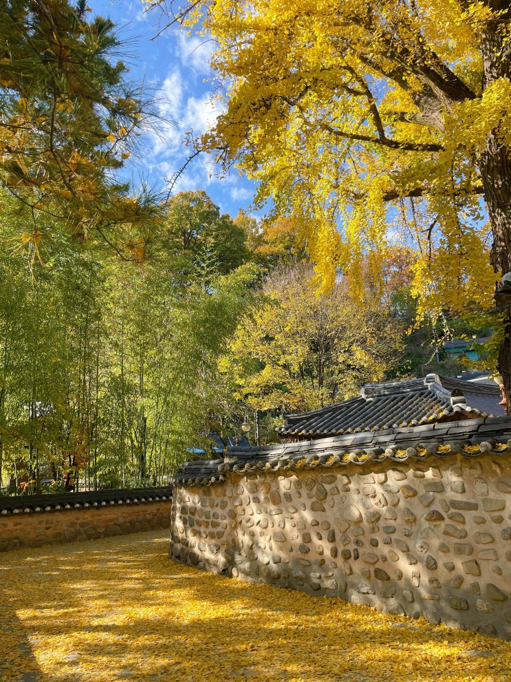 가을 _ autumn in JEONJU : 네이버 블로그