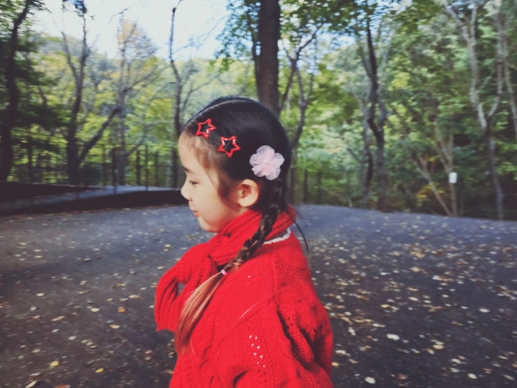 할매는 왜 내가 감사한 일만 하는거야? : 네이버 블로그