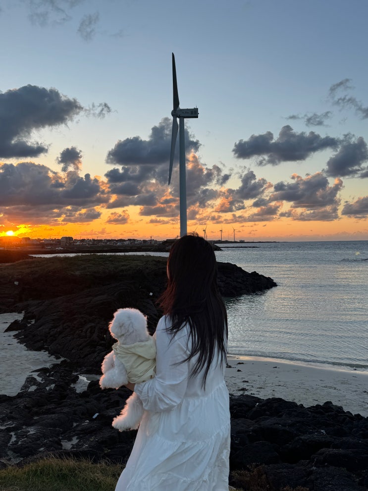 해는 따뜻하고 바람은 선선한 가을에 다녀온 가을제주 : 네이버 블로그