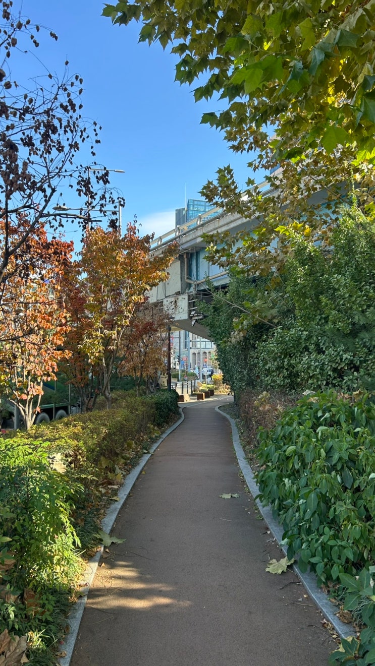 그대 내게 쉴 곳을 마음속에 마련해요 : 네이버 블로그