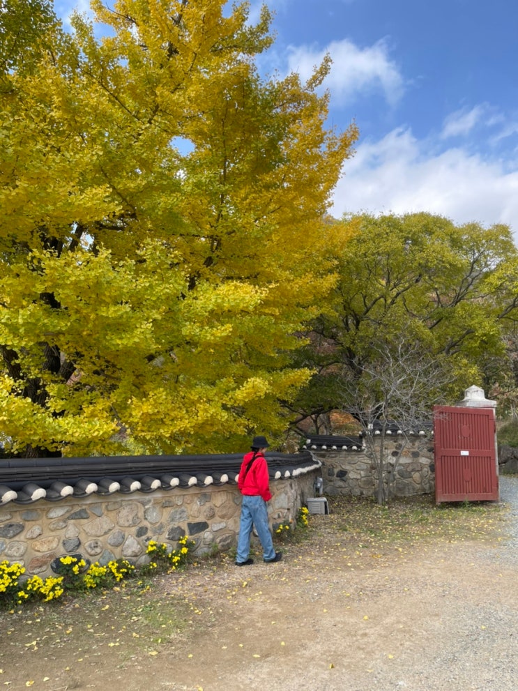 251024-1114: : 네이버 블로그