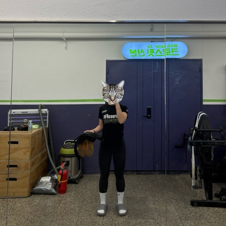 251118 크로스핏 903회차 후기 [front squat / weighted jumping squat, tabata ...