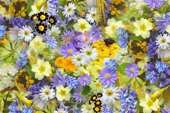 사소싶다(四少十多) : 네이버 블로그