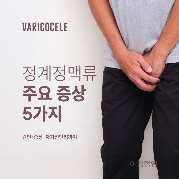 남자라면 필독! 정계정맥류(Varicocele) 원인·증상·자가진단 가이드 : 네이버 블로그