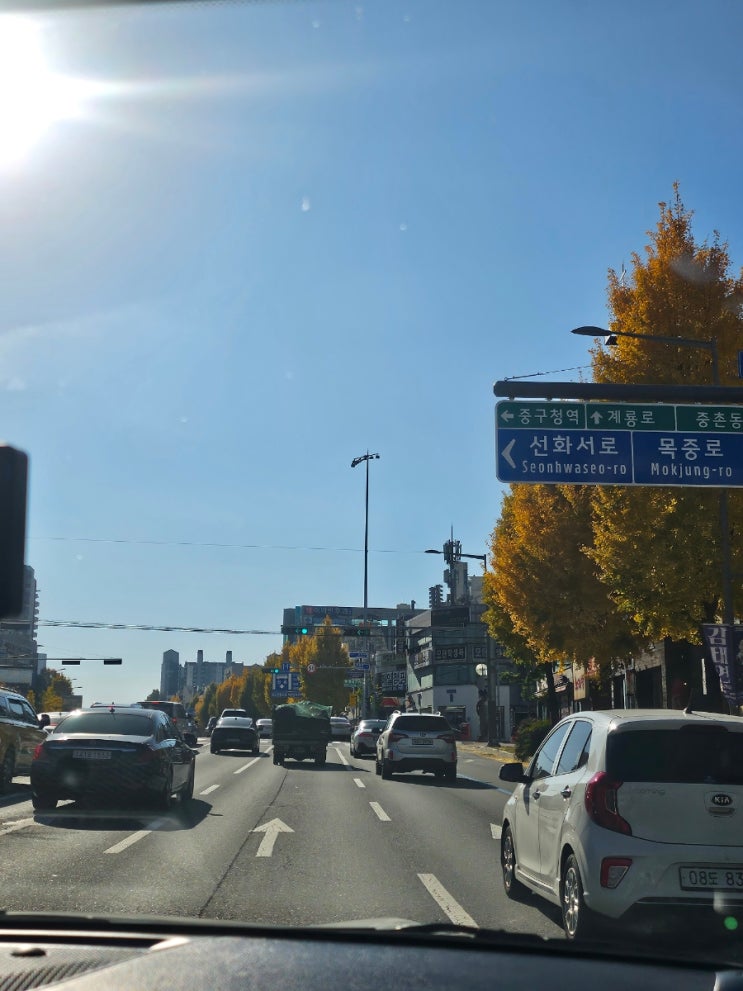 [단풍 명소] "장태산" 단풍보고왔음🍁 : 네이버 블로그