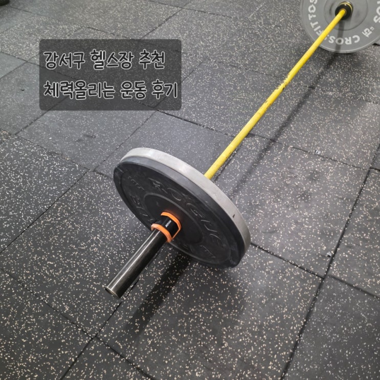 강서구 헬스장 토스 크로스핏 체력올리는 운동 후기 : 네이버 블로그