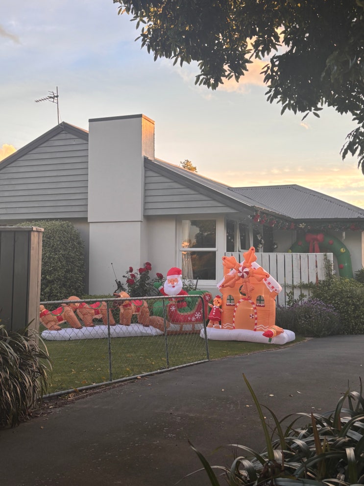 뉴질랜드 워홀 D+19 : 네이버 블로그