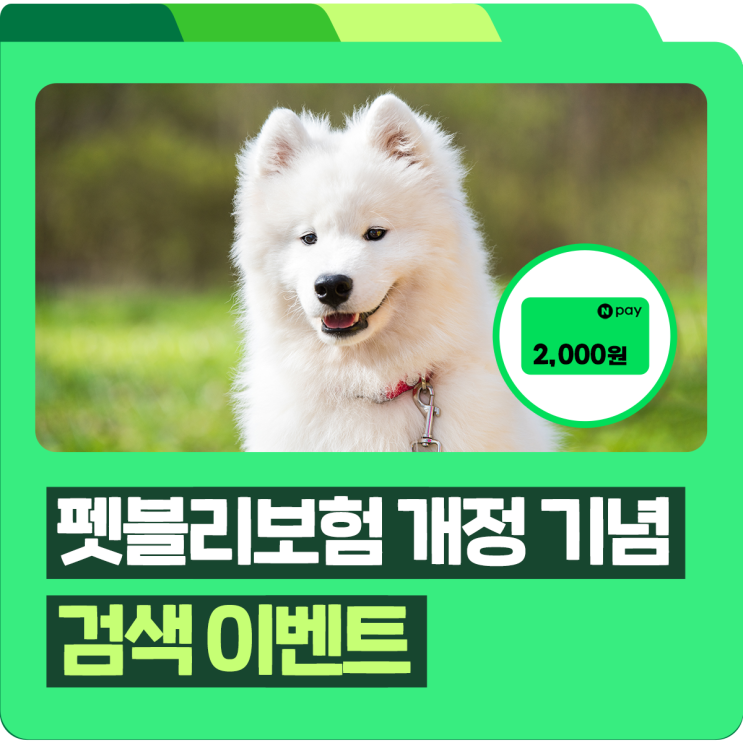 [이벤트] 더 든든하게 개정된 DB손해보험 펫블리 반려견 보험, 검색 이벤트 참여하면 네이버 페이 상품권이! 보험료 계산하고 ...