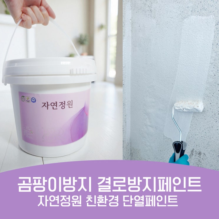 곰팡이 결로방지페인트 친환경 단열페인트 자연정원 베란다 셀프페인트 후기 : 네이버 블로그