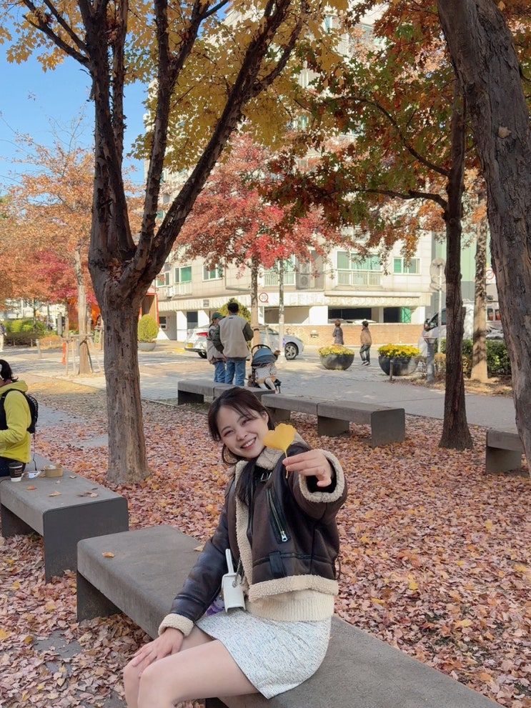 11월 나는 어떻게 보냈는가 - : 네이버 블로그