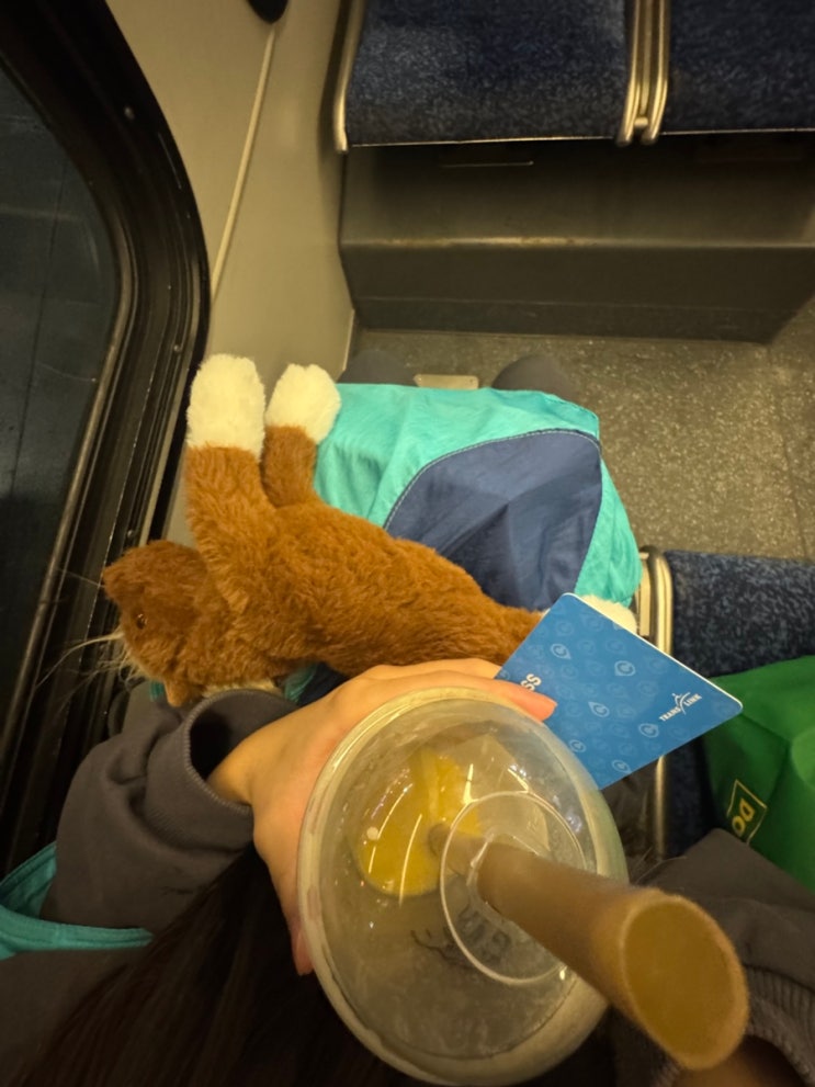 [🇨🇦 밴쿠버] 캐나다 컴패스 카드 사용법 | 주의 사항 | 꿀팁 : 네이버 블로그