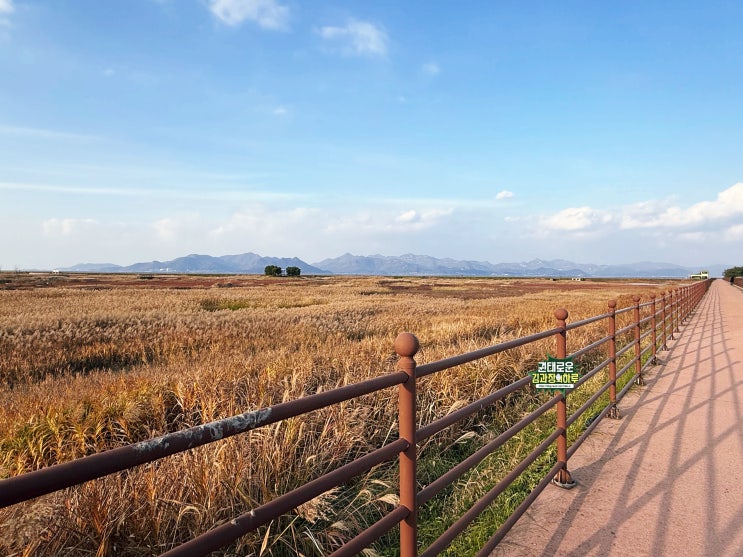 전북 고창 두어마을 무장애 생태 탐방로 : 네이버 블로그