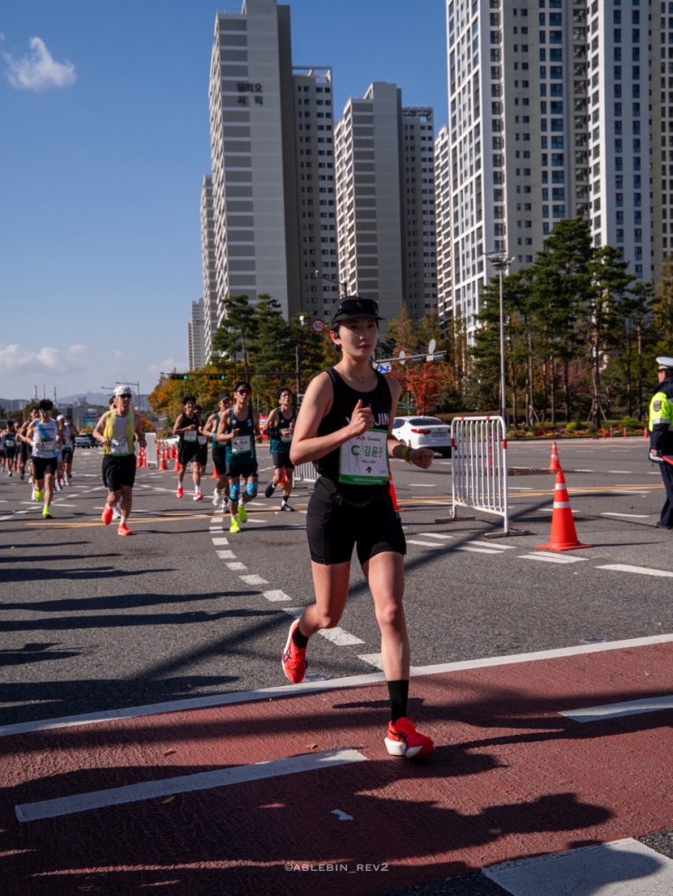 11월 jtbc마라톤 : 네이버 블로그