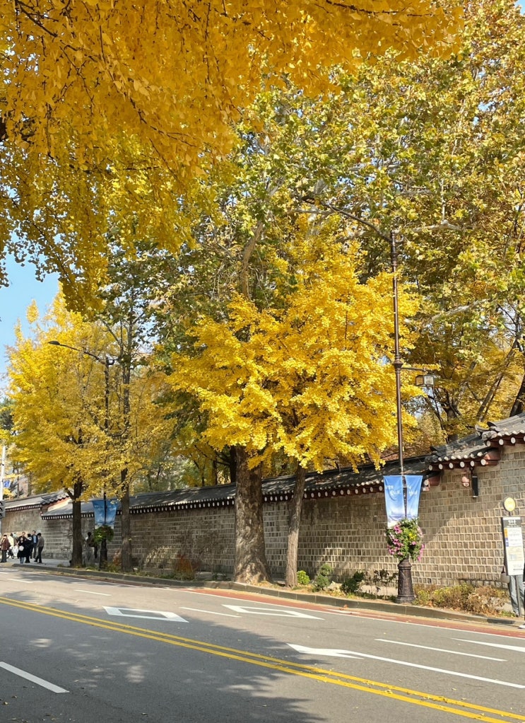🍁👩‍ ️‍👨 경복궁 서촌 데이트 | 오스테리아 소띠 화덕피자 & 미드메 서촌 마들렌 최고🧡🤎 : 네이버 블로그