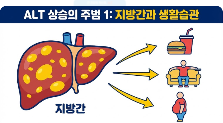 간장질환 에이엘티, 건강검진 성적표의 빨간불이 의미하는 것 : 네이버 블로그