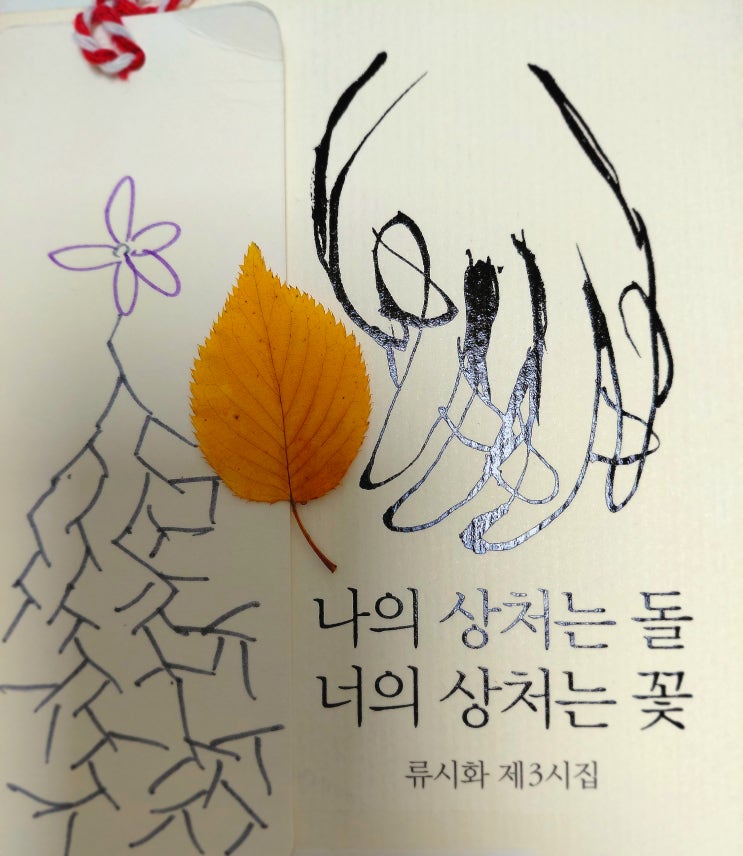 류시화 '나의 상처는 돌, 너의 상처는 꽃' 비켜선 것들에 대한 예의, 우리는 시가 더 필요하다 : 네이버 블로그