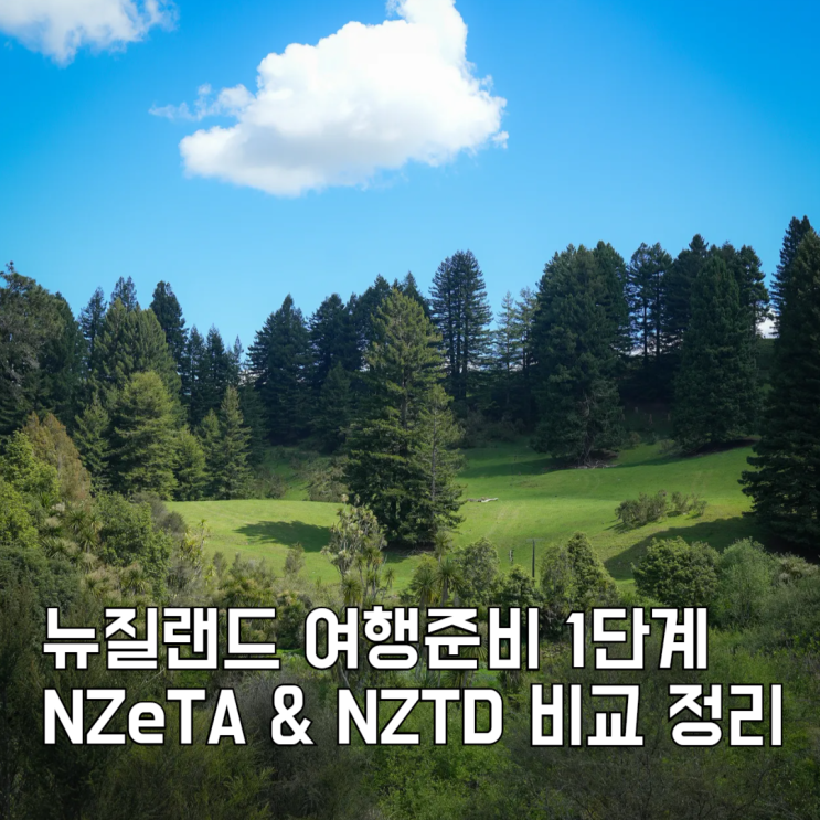 뉴질랜드 관광비자 NZeTA vs 입국신고서 NZTD 신청방법 및 주의사항 정리 : 네이버 블로그