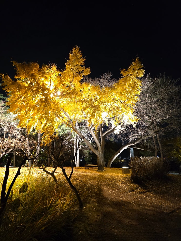 경주 숨은 명소, 서출지와 이요당 : 네이버 블로그